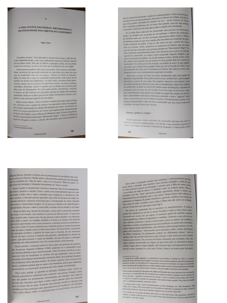 A Vida Oculta Das Pedras - TEXTO 03 G2 | PDF