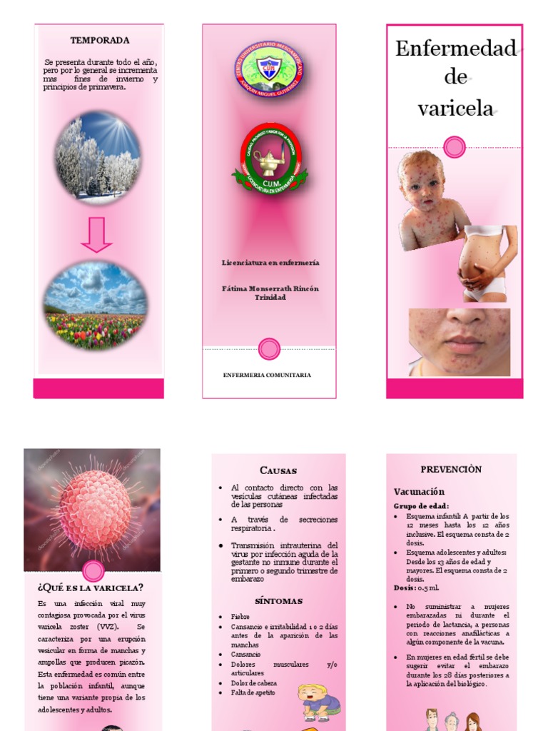 Tríptico de La Varicela | PDF | Microbiología | Especialidades Medicas