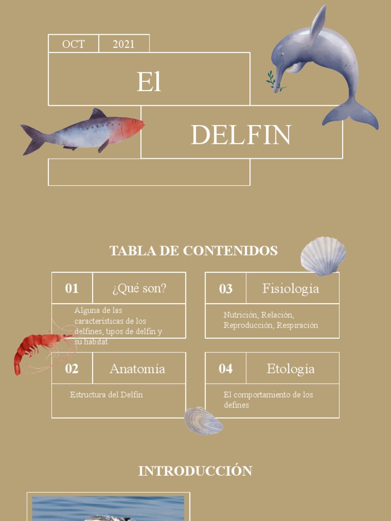 Delfin | PDF | Cetacea | Mamíferos
