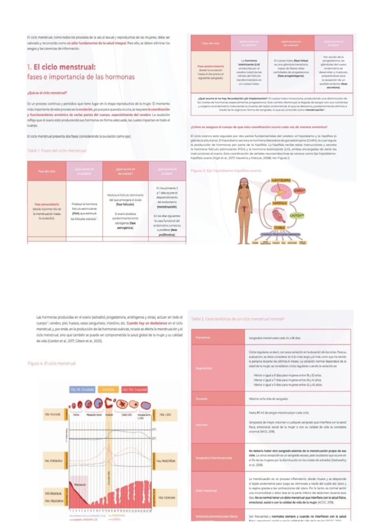 1 La Menstruacion | PDF