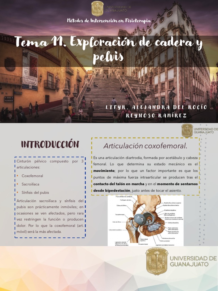 Exploración de Cadera y Pelvis | PDF | Pelvis | Rodilla