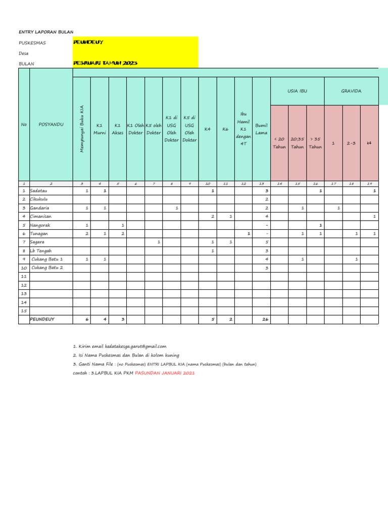 Panduan Pengisian Buku Pink Ibu Hamil | PDF