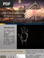 Zonas y Túneles de la Muñeca y Mano | PDF | Mano | Sistema ...