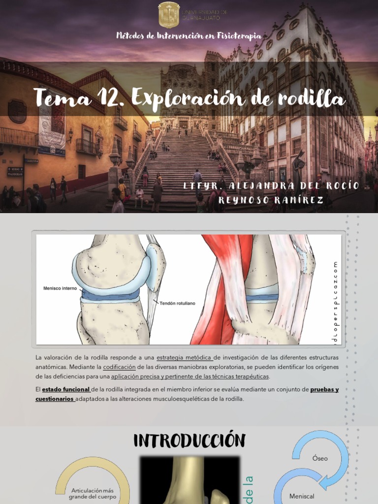 Exploración Rodilla | PDF | Rodilla | Sistema musculoesquelético
