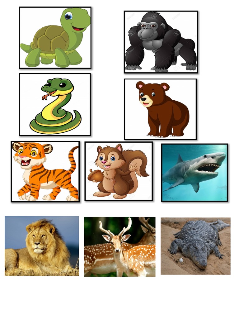 IMAGENES KEYSI -ANDRE | PDF