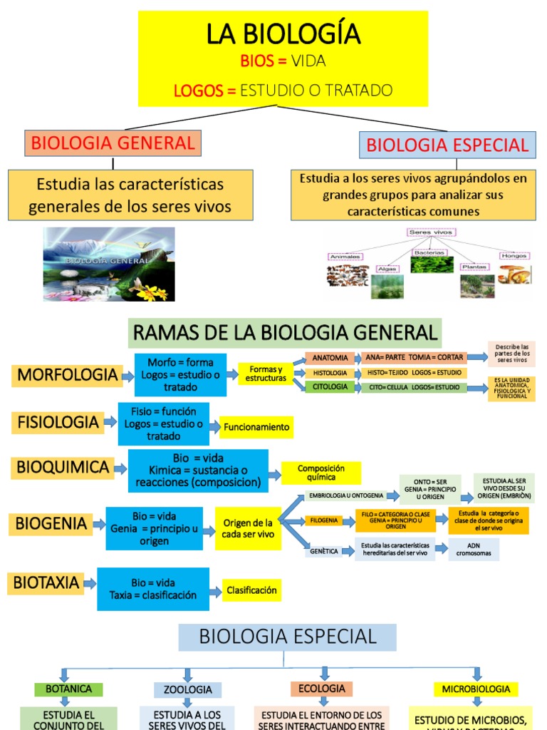 La Biología Tema 3 | PDF | Biología | Organismos