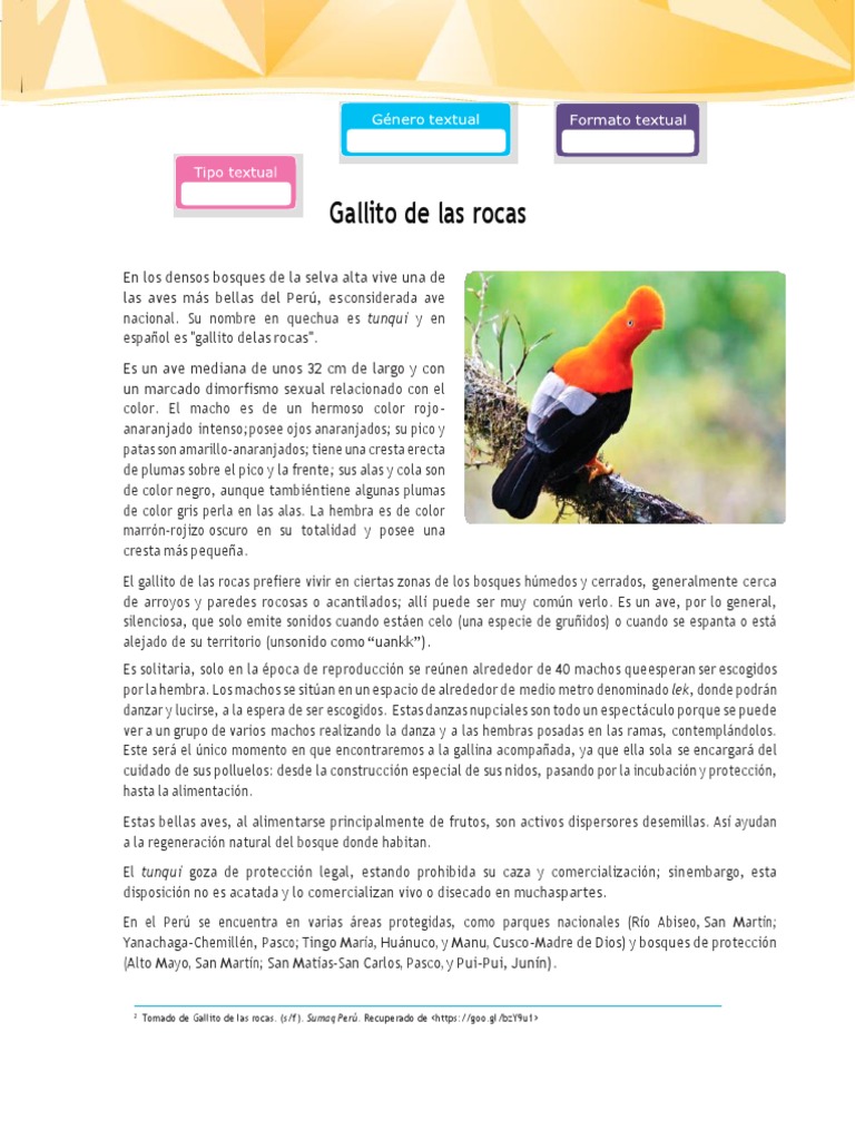 Infografía sobre el Gallito de las Rocas | PDF | Aves | Aves holarctic