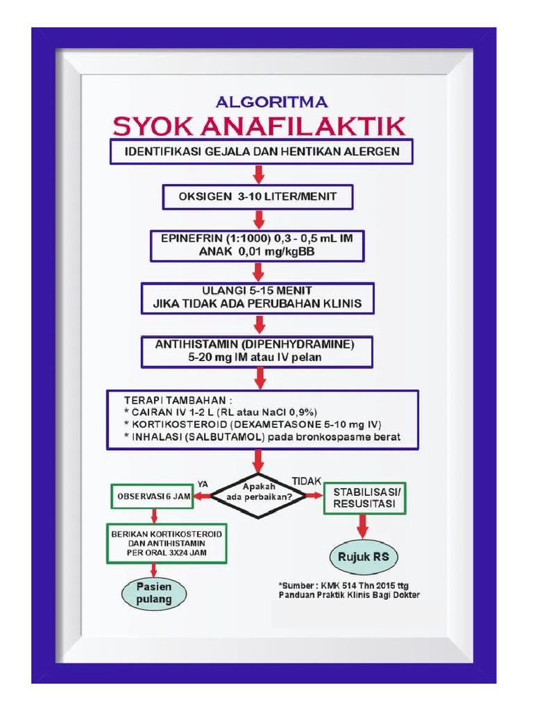 Algoritma Syok Anafilatik | PDF