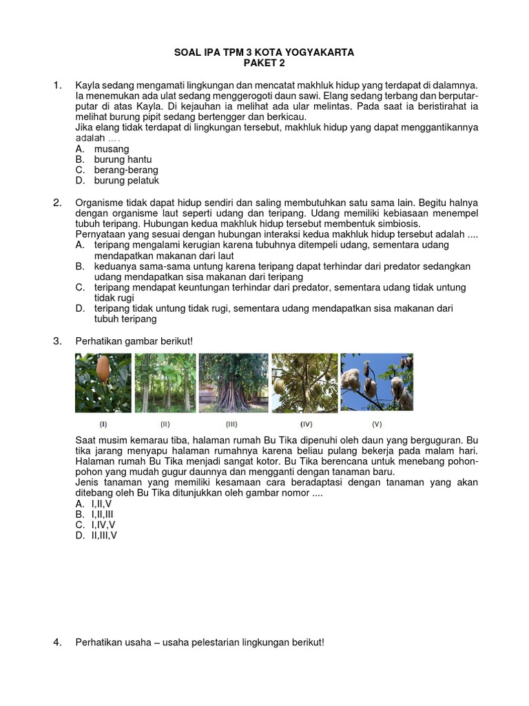 TPM 3 Literasi Sain 2 | PDF