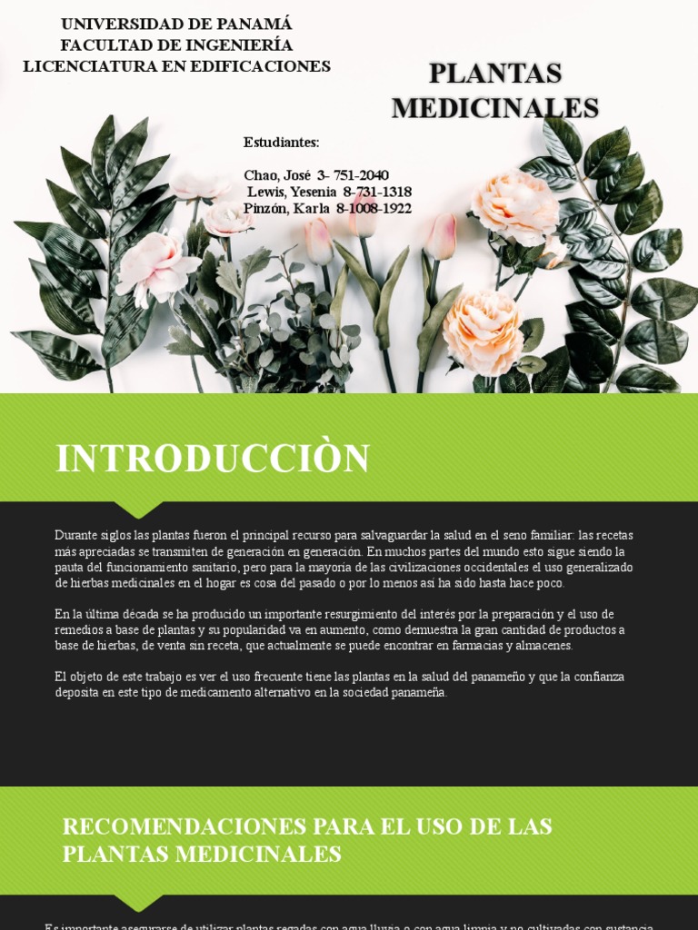 Trabajo Final Plantas Medicinales | PDF | Plantas medicinales | Plantas