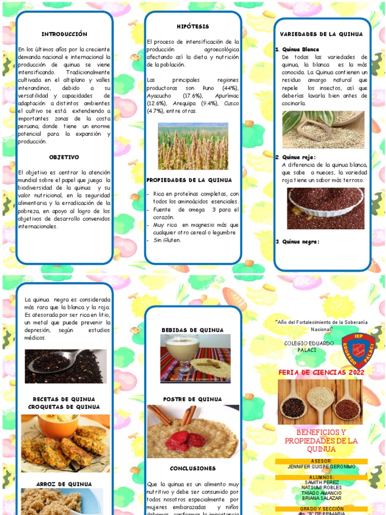 Triptico Quinua | PDF | Quinua | Nutrición