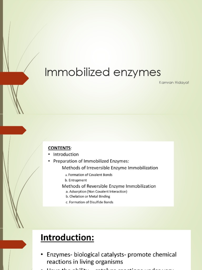 Immobilized Enzymes | PDF