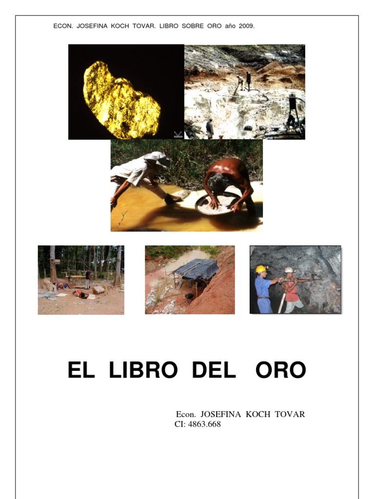 El Libro Del Oro | PDF | Estrato | Minería