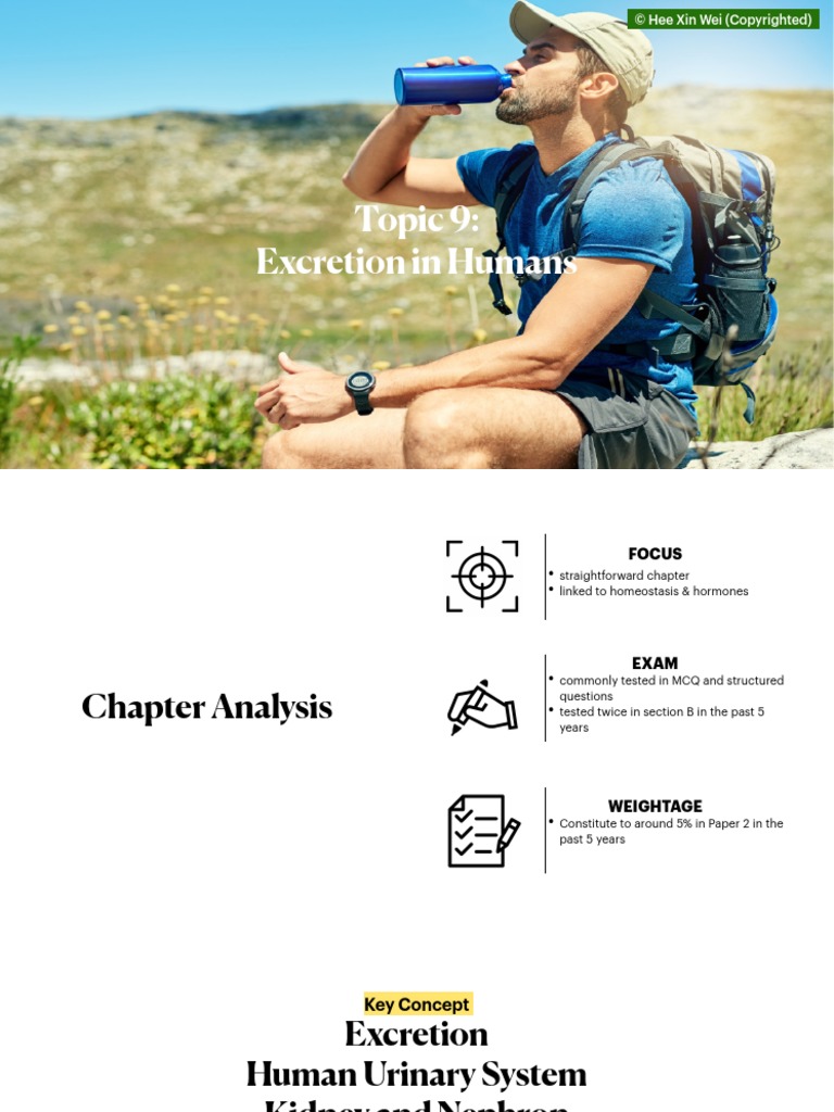 (BIO) Chapter 9 - Excretion in Humans | PDF | Kidney | Medical Specialties