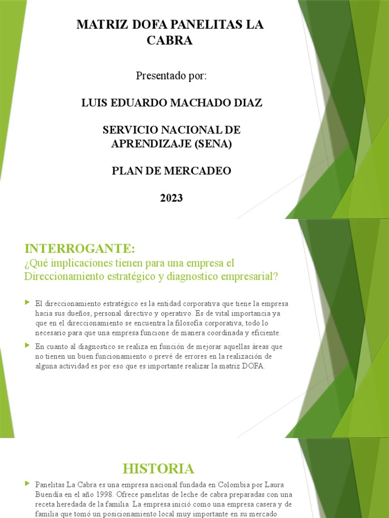 Matriz Dofa Panelitas La Cabra | PDF | Business | Marketing