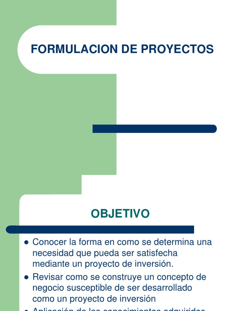 Formulacion de Proyectos | PDF | Negocios