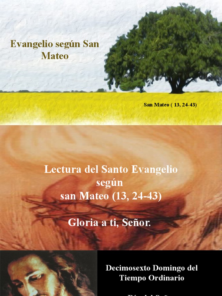 Evangelio San Mateo 13, 24-43 | PDF | Parábolas de Jesús | Creencia ...