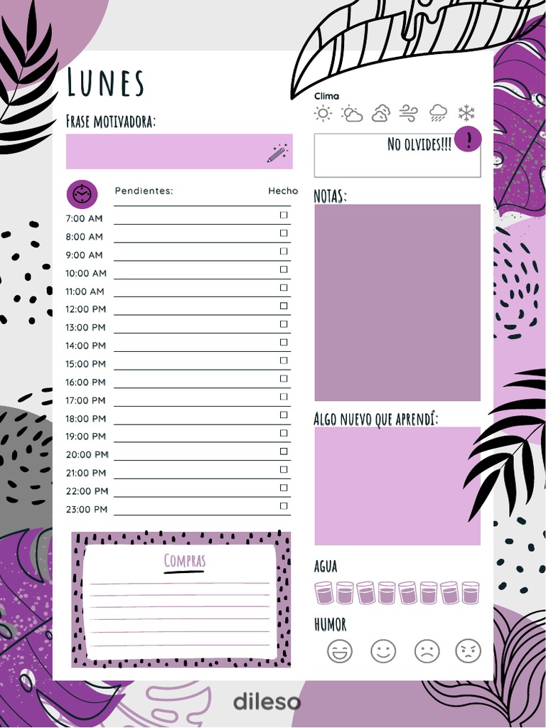 Organizador Diario Morado | PDF