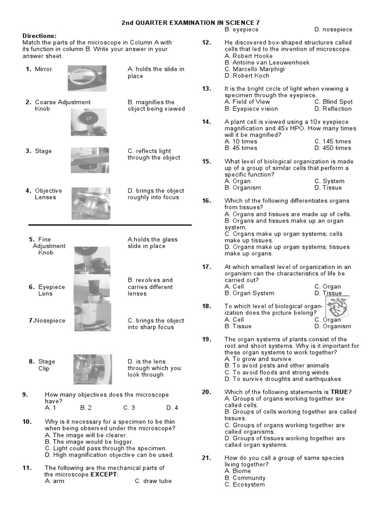 2nd QUARTER EXAMINATION IN SCIENCE 7 | PDF | Reproduction | Cell (Biology)