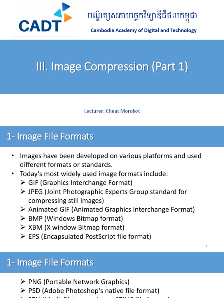 Image Compression Techniques Overview | PDF | Data Compression | Computer Vision