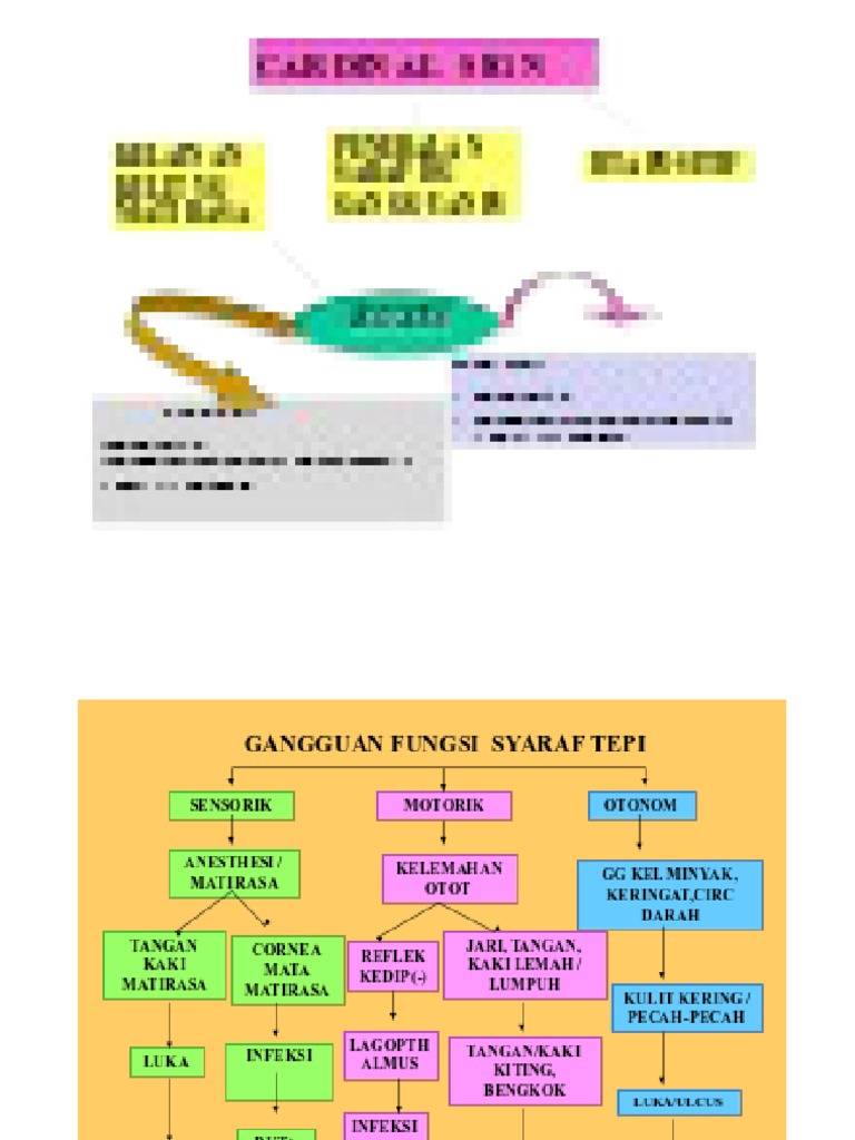 Cardinal Sign Kusta | PDF