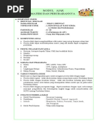 1. Contoh Modul Ajar Model Problem Based Learning ( PBL ) | PDF