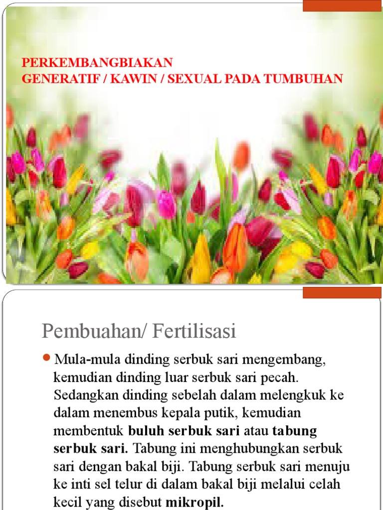 Pembuahan Fertilisasi | PDF | Griya & Taman | Kesehatan Holistik