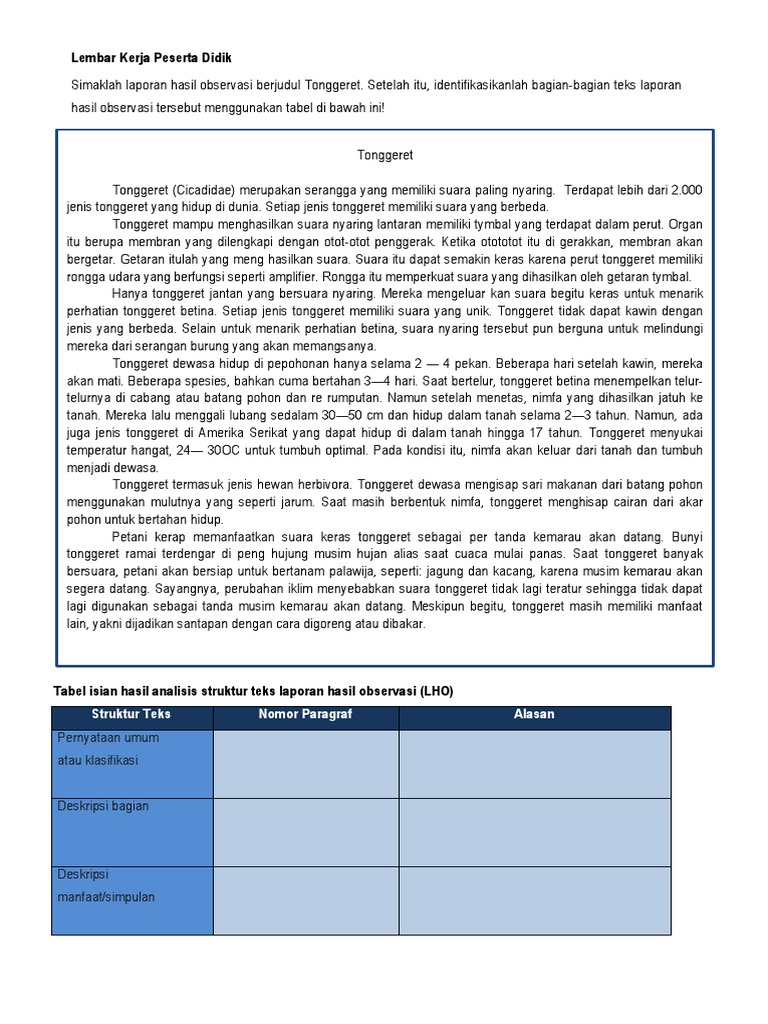 LKPD Martino LHO | PDF