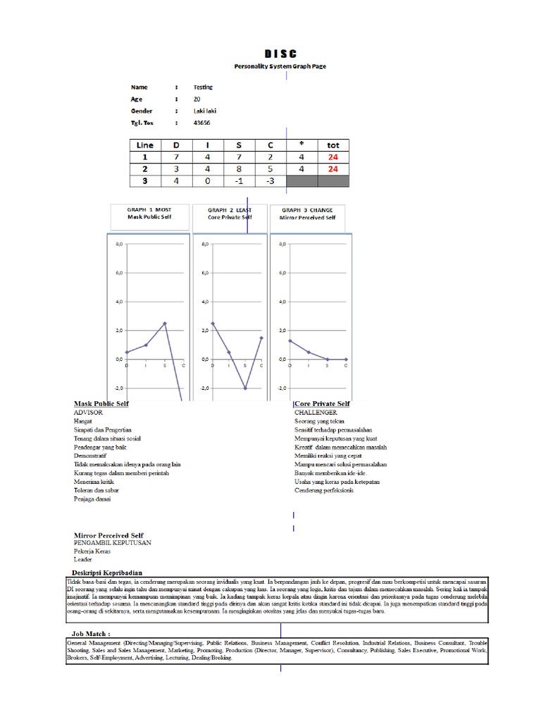 Contoh Hasil DISC | PDF