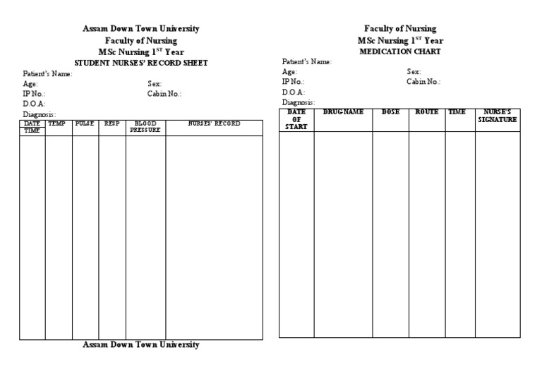 Nurses Record Sheet | PDF