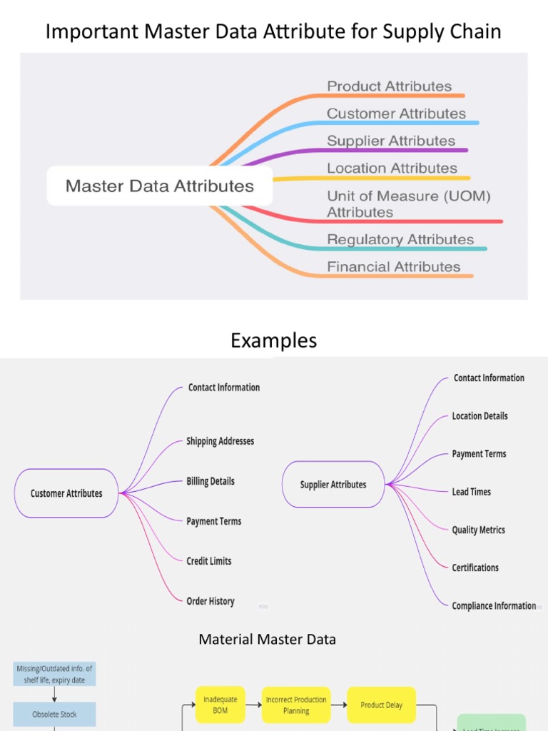 Key Master Data Attributes in Supply Chain | PDF | Computers ...