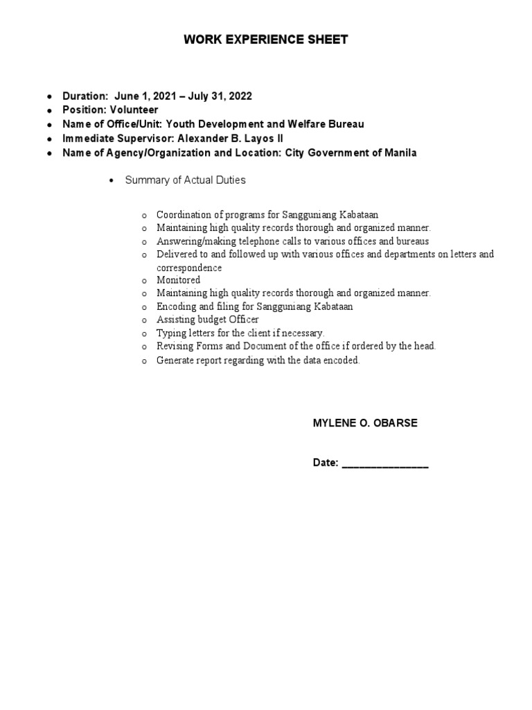 Work Experience Sheet | PDF