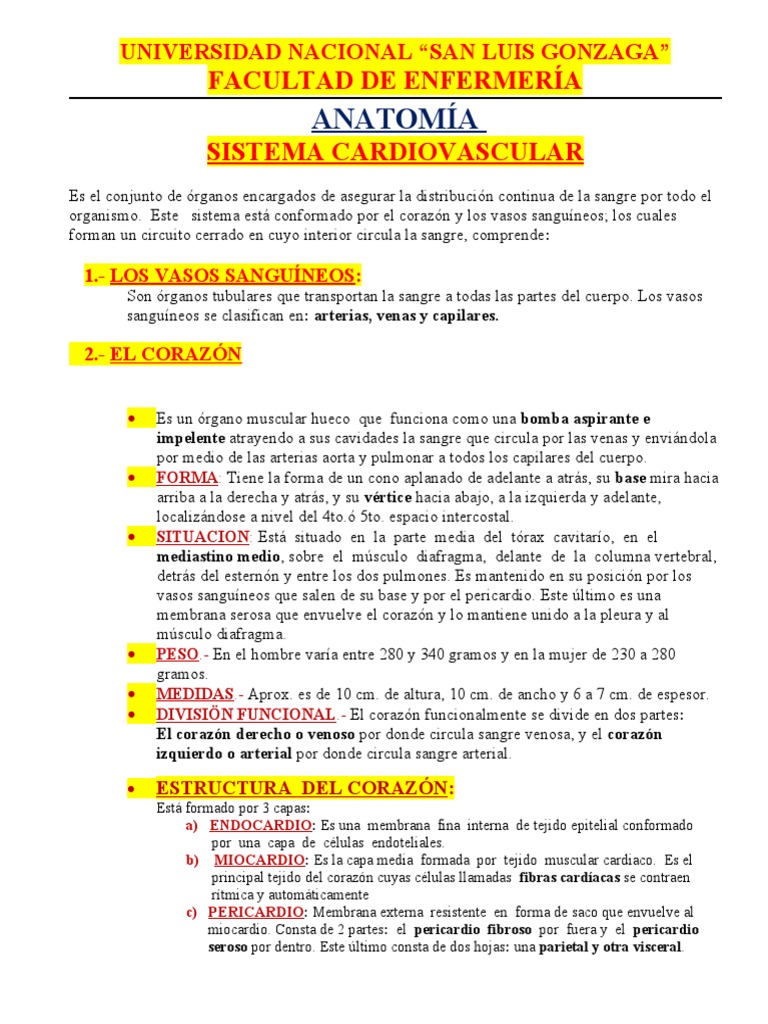 FFCCBB Semana 11 Mapa Conceptual Taller Calificado Tema Sistema Cardiovascular El Corazón 2022 I ...