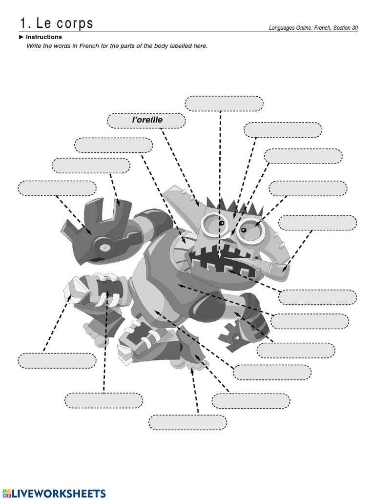 Les parties du corps | PDF
