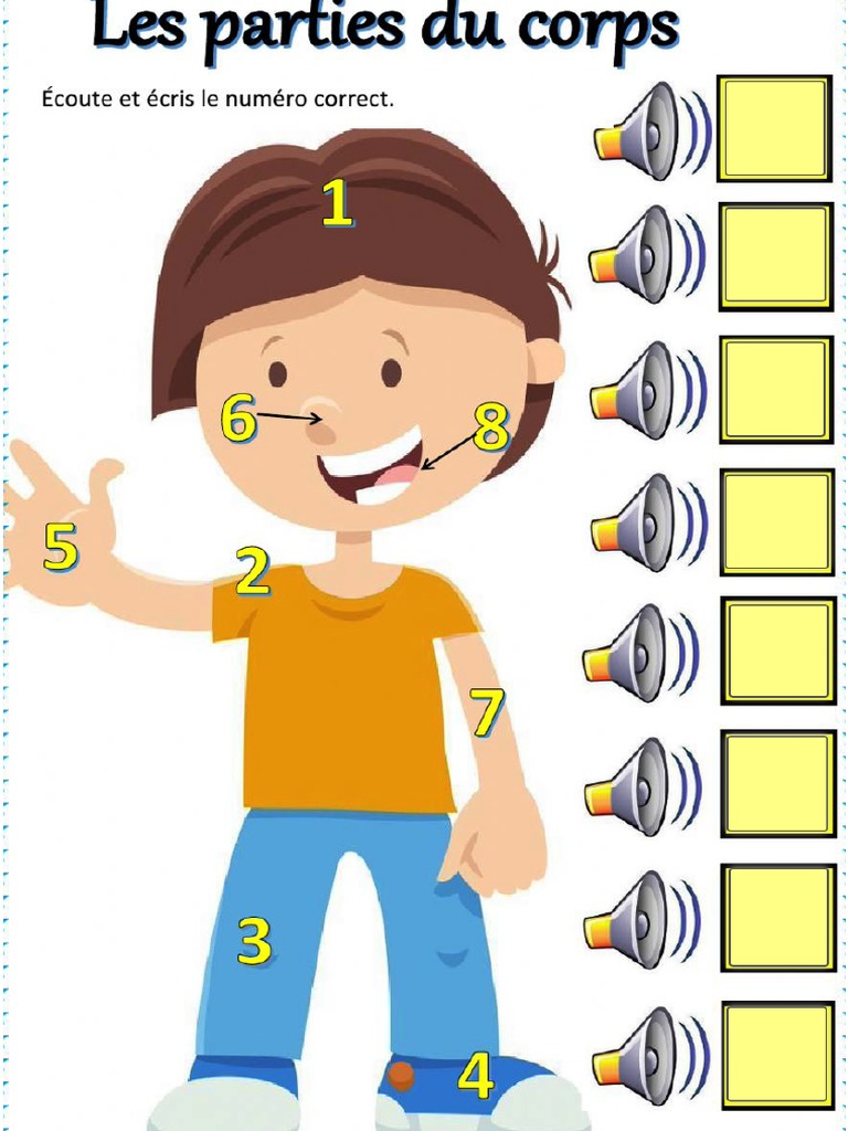 Les Parties Du Corps CO | PDF