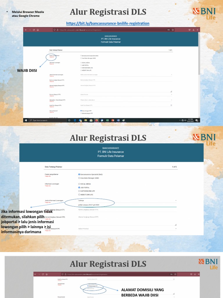 Alur Proses Pengisian Dls | PDF