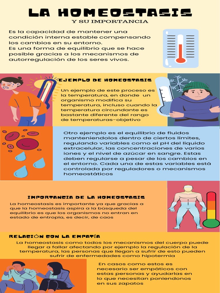 LA HOMEOSTASIS - infografía | PDF