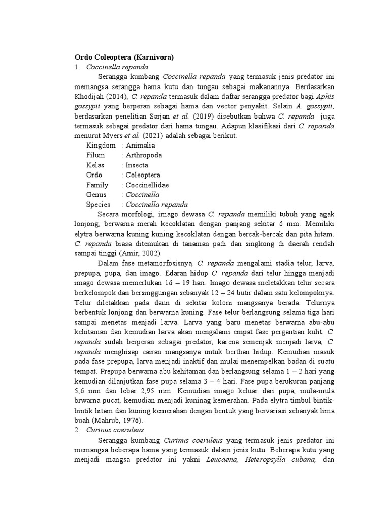Kumbang Predator: Coccinella dan Curinus | PDF