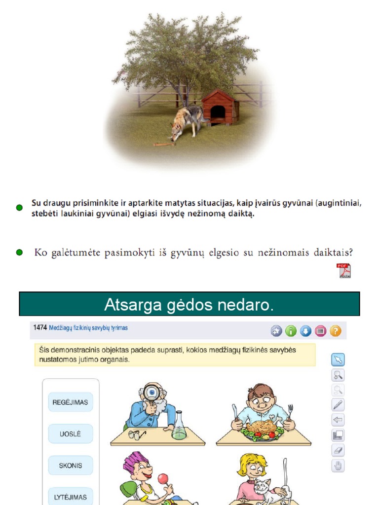 Pamoka 6.6 Kam Zmones2 | PDF