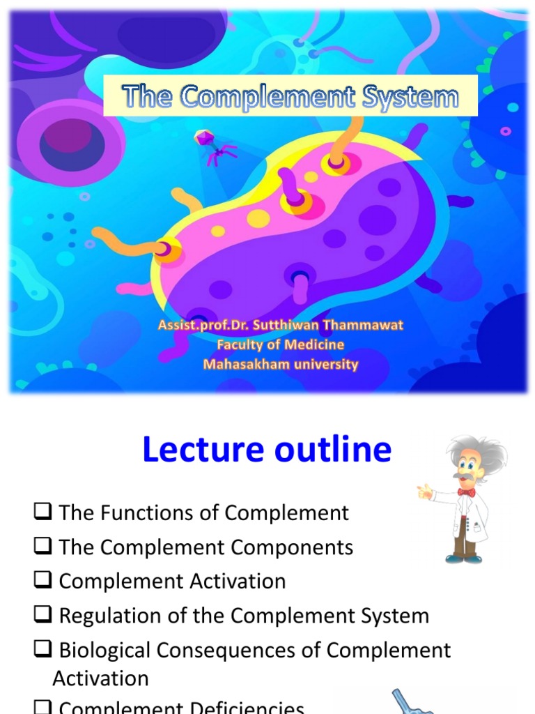 T4 Complement System | Download Free PDF | Complement System | Organ (Anatomy)