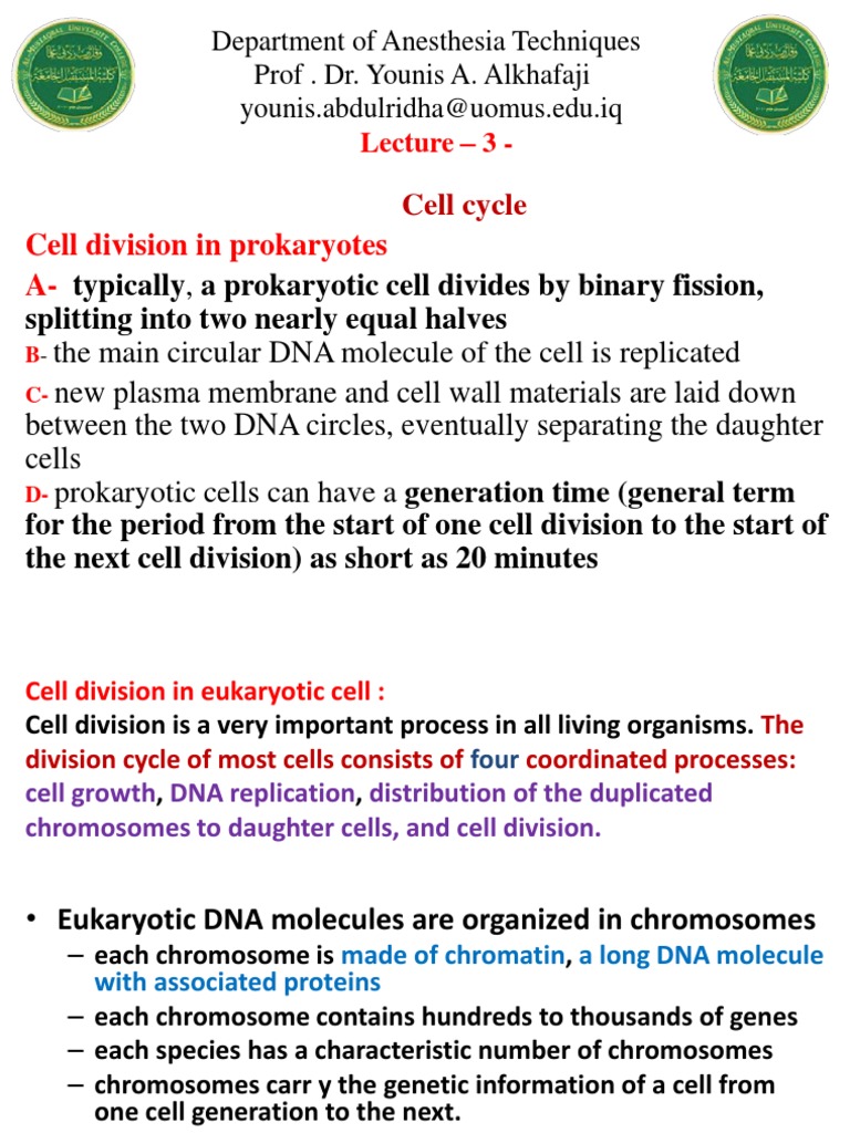 Cell Cycle | PDF | Mitosis | Cell (Biology)