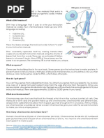 Answer Key - Genetic Packet | PDF | Dominance (Genetics) | Genotype