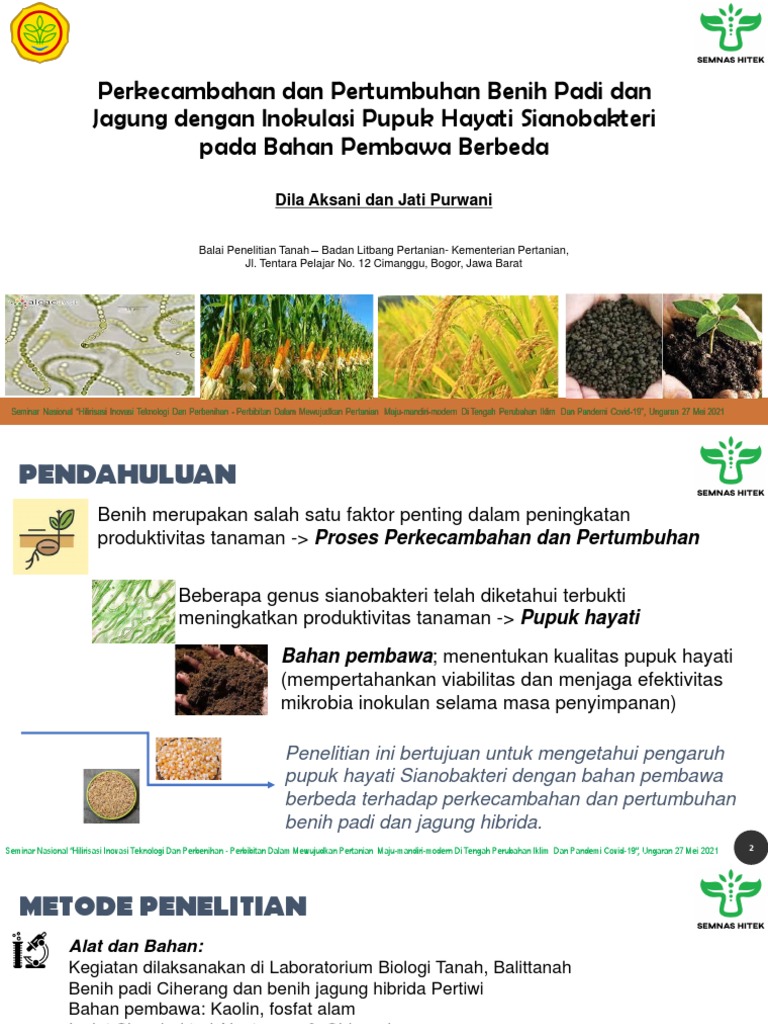 G5 Semnashitek Dila PPT | PDF