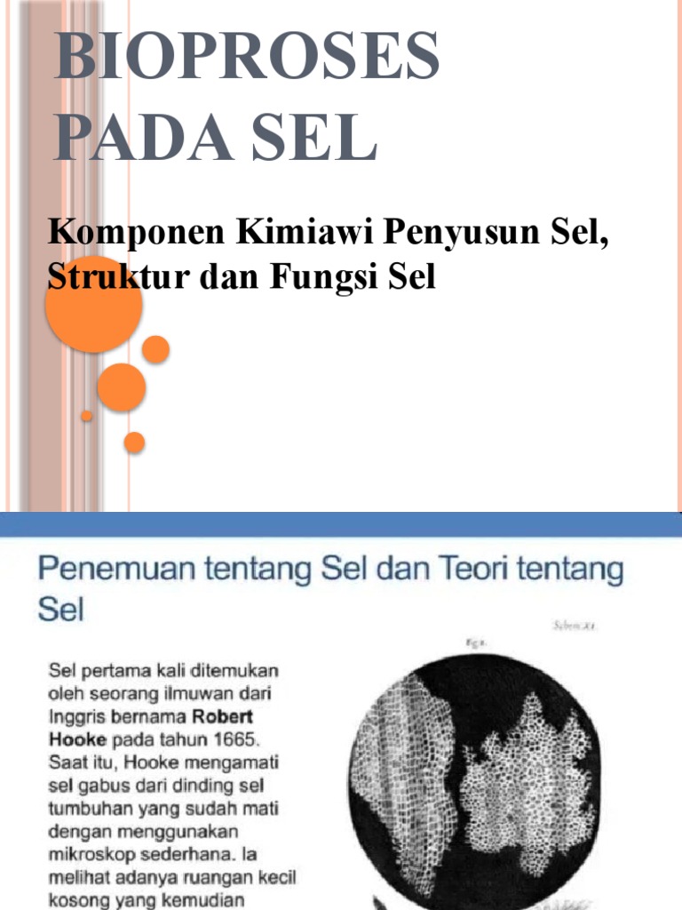 Bioproses Pada Sel | PDF