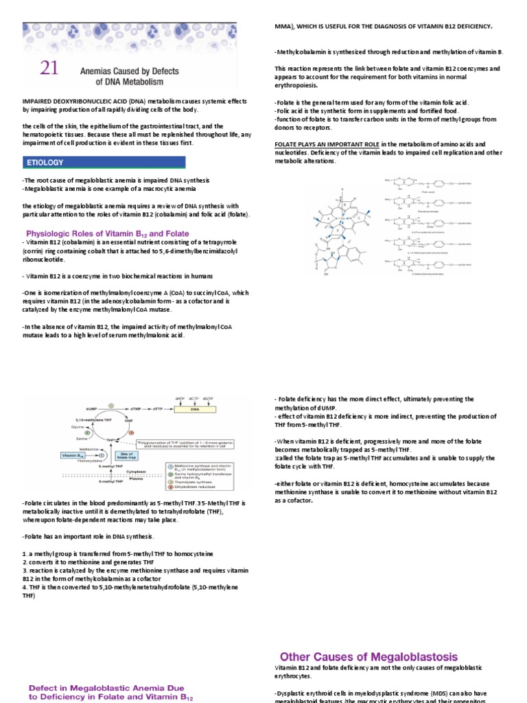 Hema Chapter 21 | PDF | Vitamin B12 | Stomach