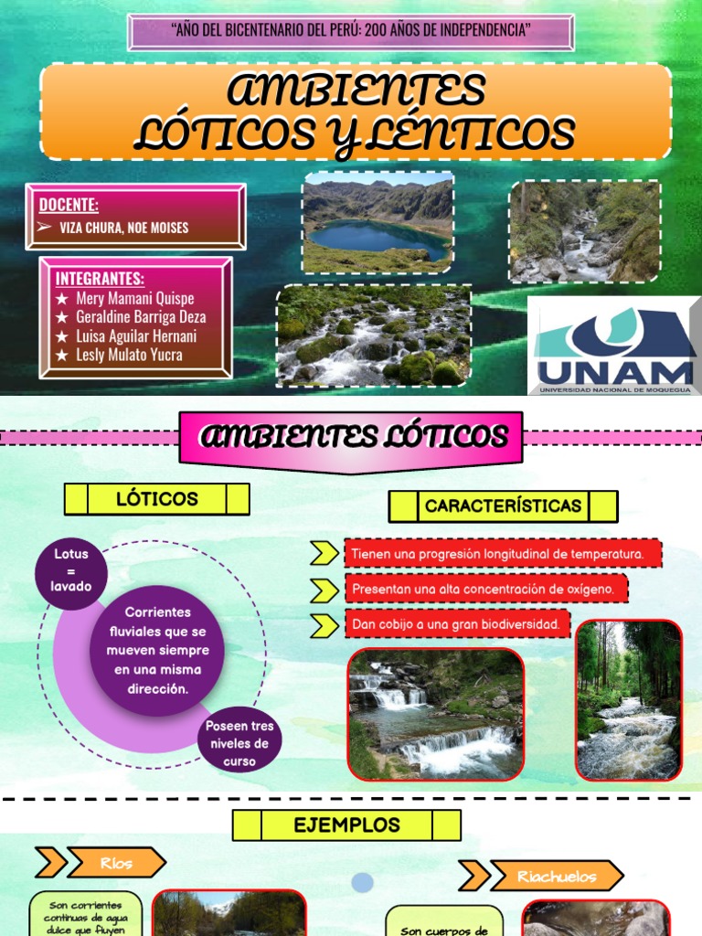Ambientes Loticos y Lenticos | PDF | lago | Río