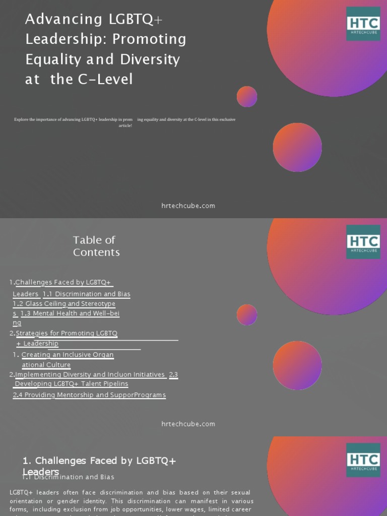Advancing LGBTQ Leadership Promoting Equality and Diversity | PDF ...