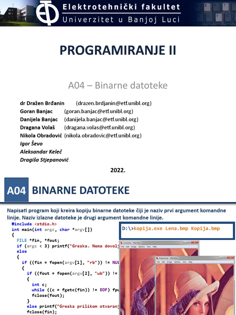 PII - A04 - Binarne Datoteke | PDF