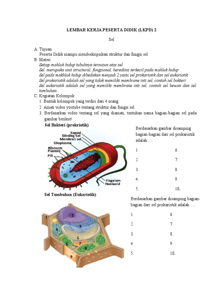 LKPD Modul Sel 2 | PDF