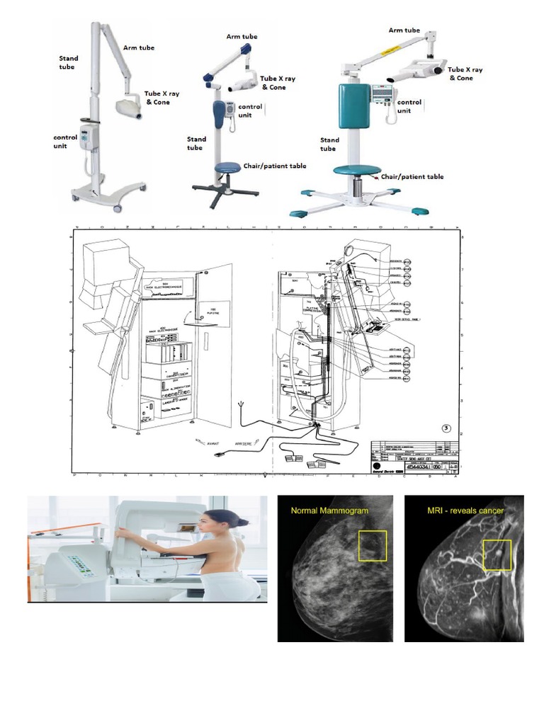 Print Remed Radiology | PDF